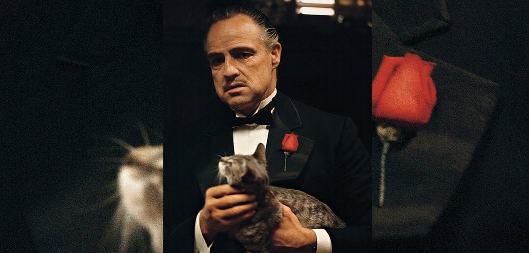 Imagem incrível do filme "O Poderoso Chefão" em alta resolução - Canto ...